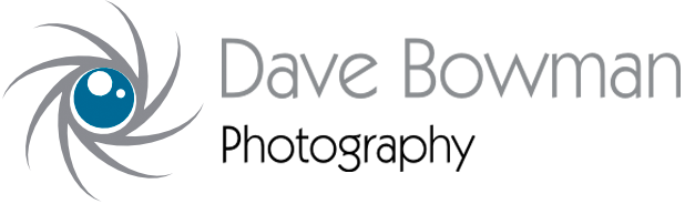 Dave Bowman - Official Website